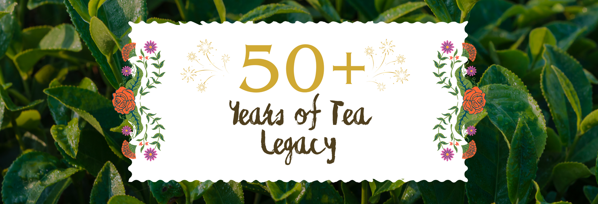 Lucky Tea Depot – Premium Tea Since 1975 | Shop Online – LUCKY TEA DEPOT